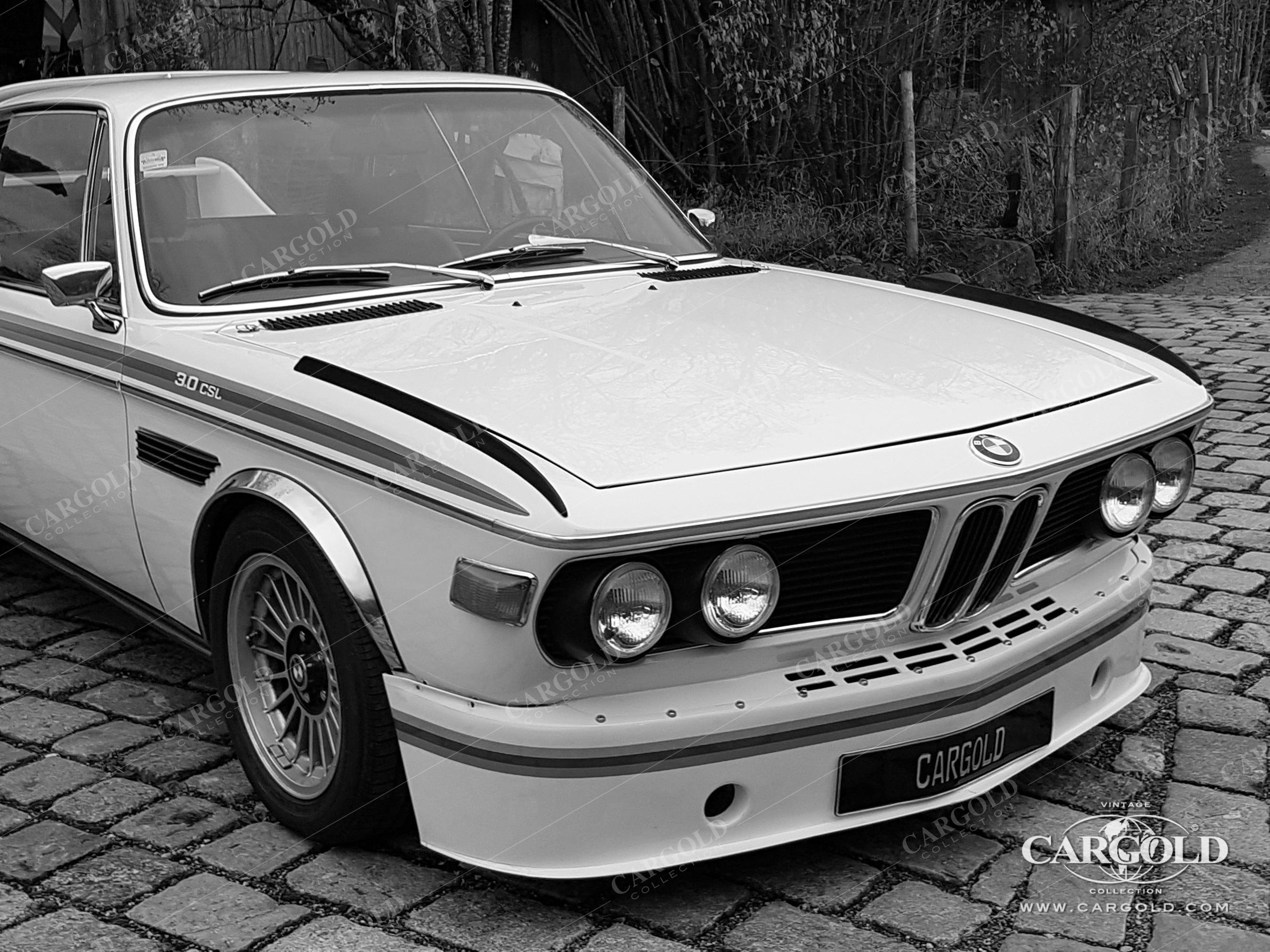 Photo Gallery Registry 4355011 - BMW 30 CSL voiture car wagen