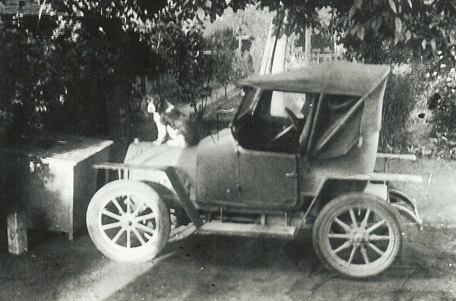 Photo Gallery A 1026 - Le Zèbre - Le Zebre - voiture - car - A 1026